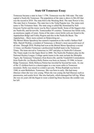 Argumentative Essay On Fast Food.pdf