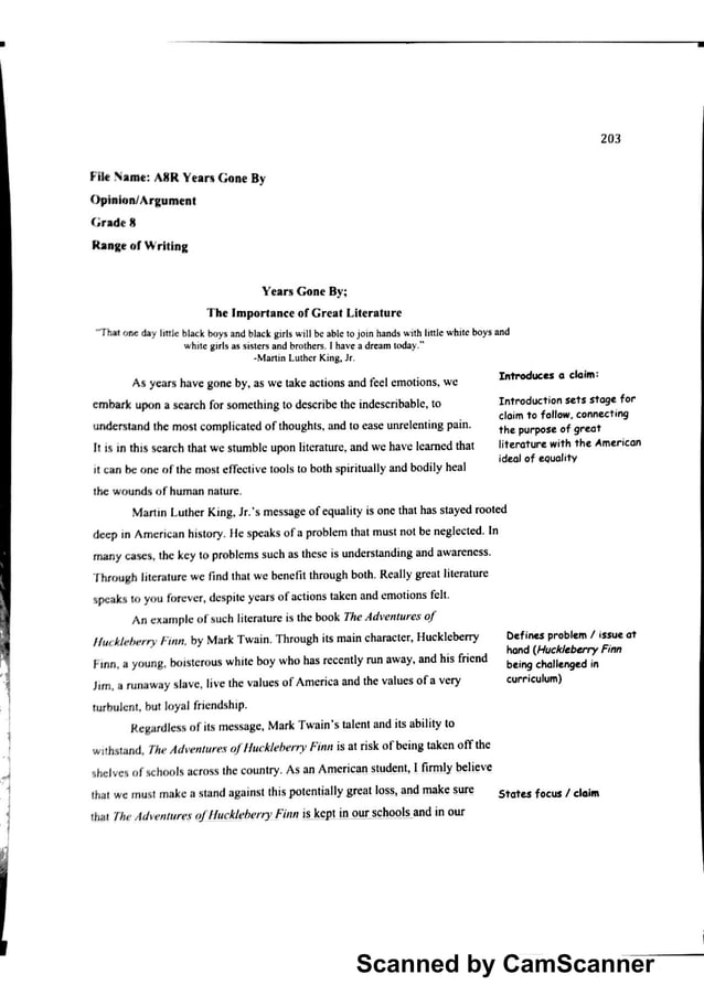 Argument examples (1) | PDF