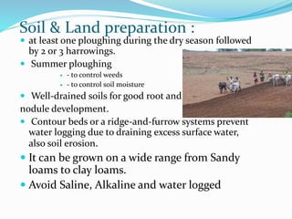 Arhar presentation | PPTX