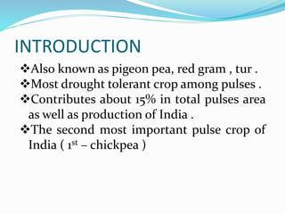 Arhar presentation | PPTX