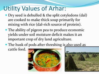 Arhar presentation | PPTX