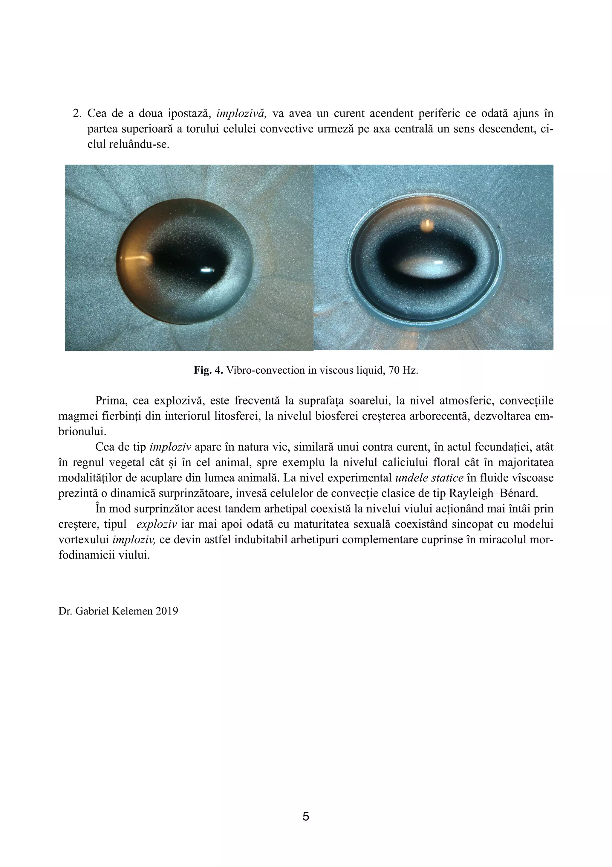 Archetype of convective vortex | PDF