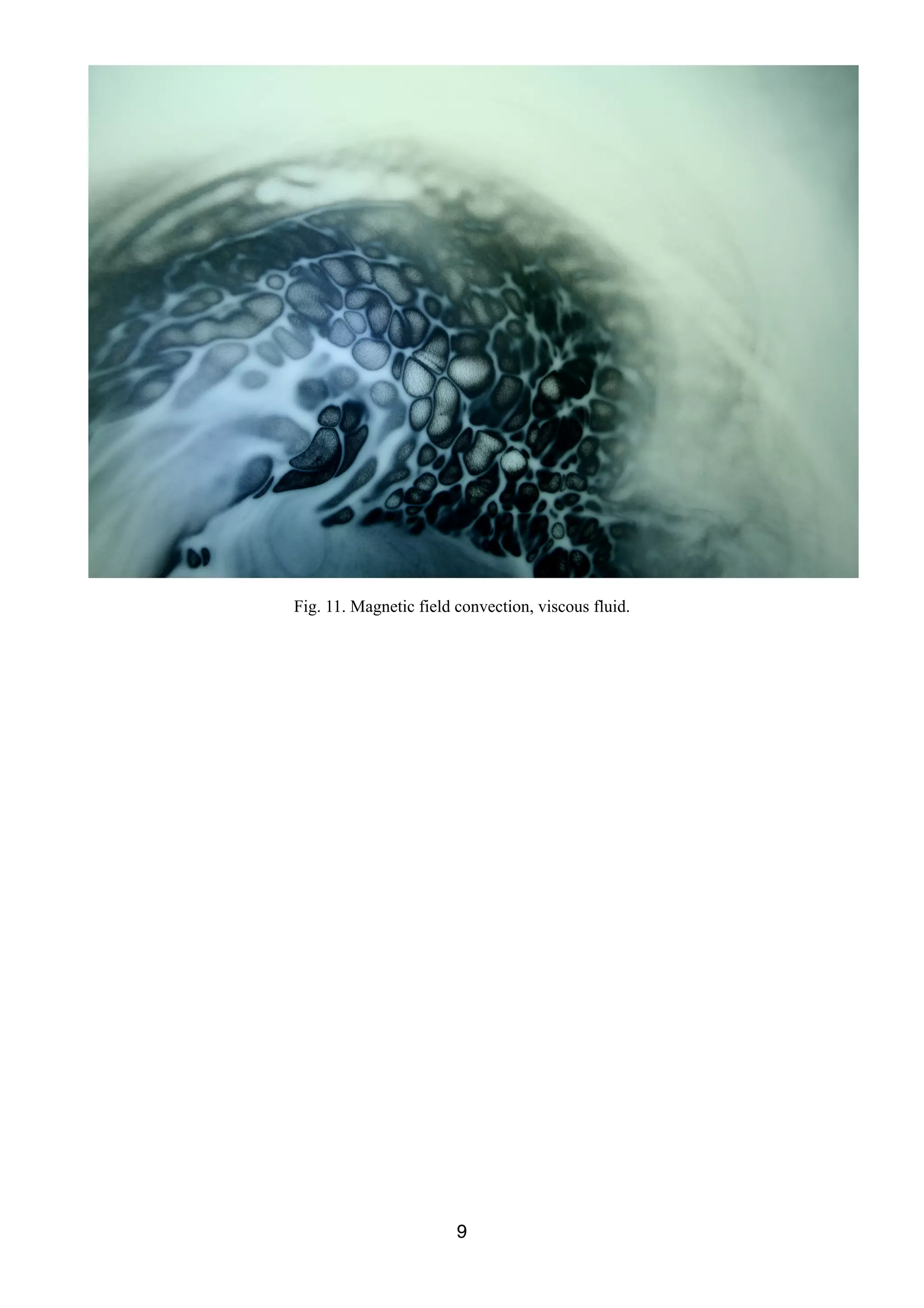 Archetype of convective vortex | PDF