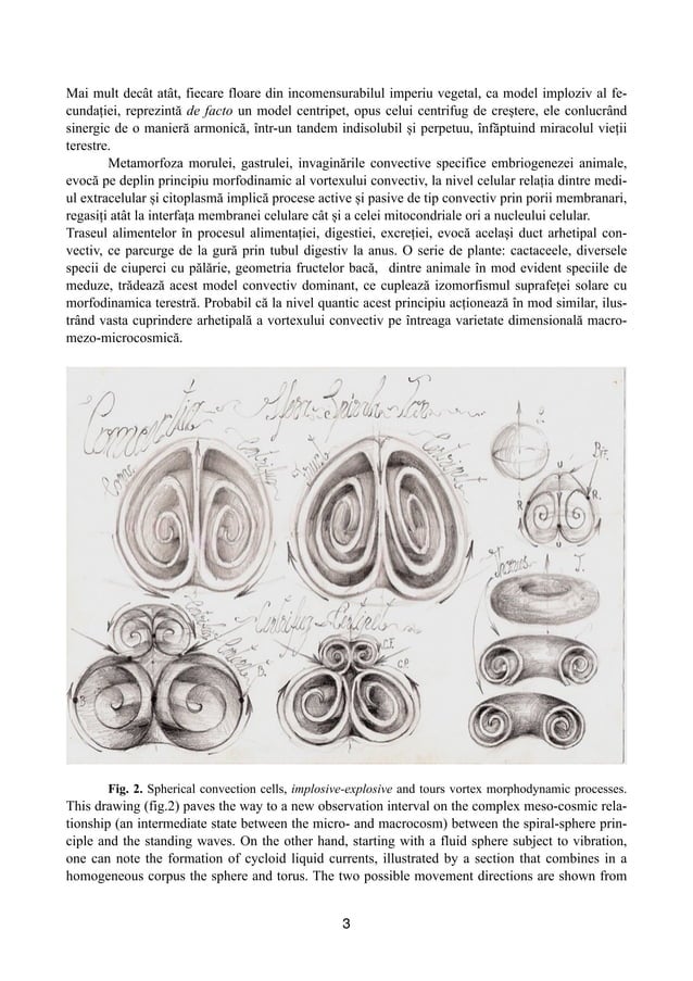Archetype of convective vortex | PDF