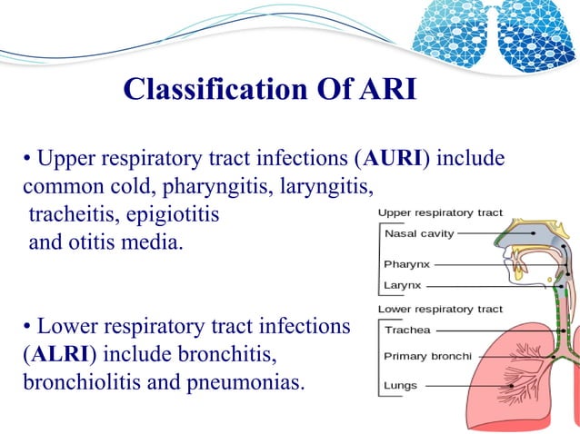 Acute respiratory infection (ARI) | ODP