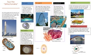 Cell Booklet Project