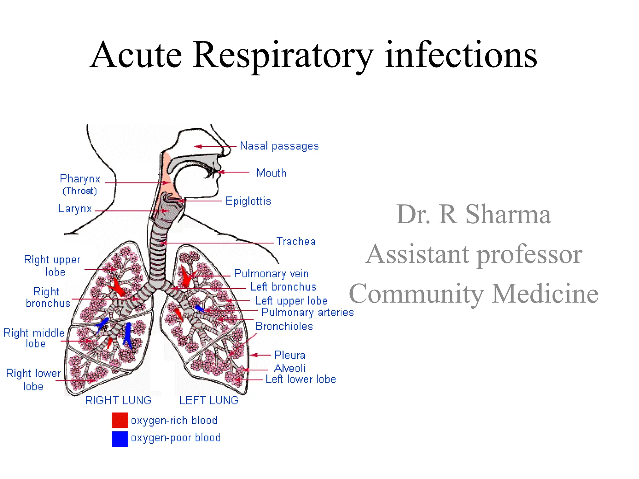 Acute Respiratory Infection and SARS with IMNCI management | PPTX