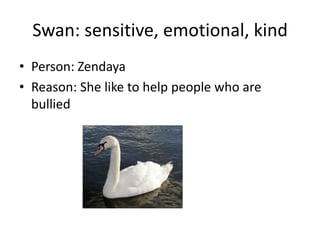 Ariana bird symbolism | PPTX | Birds | Pets