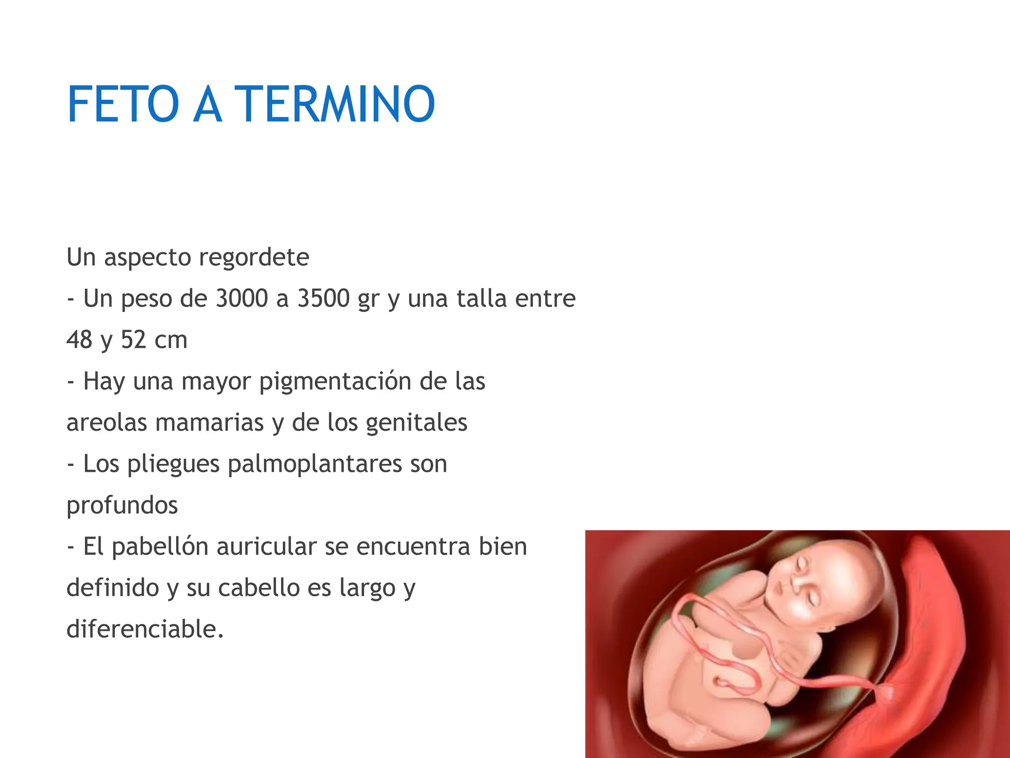 desarrollo embrionario y fetal, desarrollo placentario | PPTX