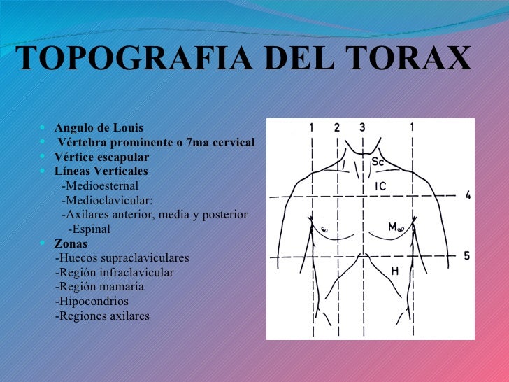 examen de torax