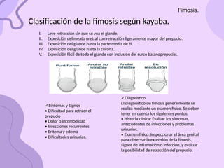 Prevalencia y recuento conceptual de la fimosis | PPTX