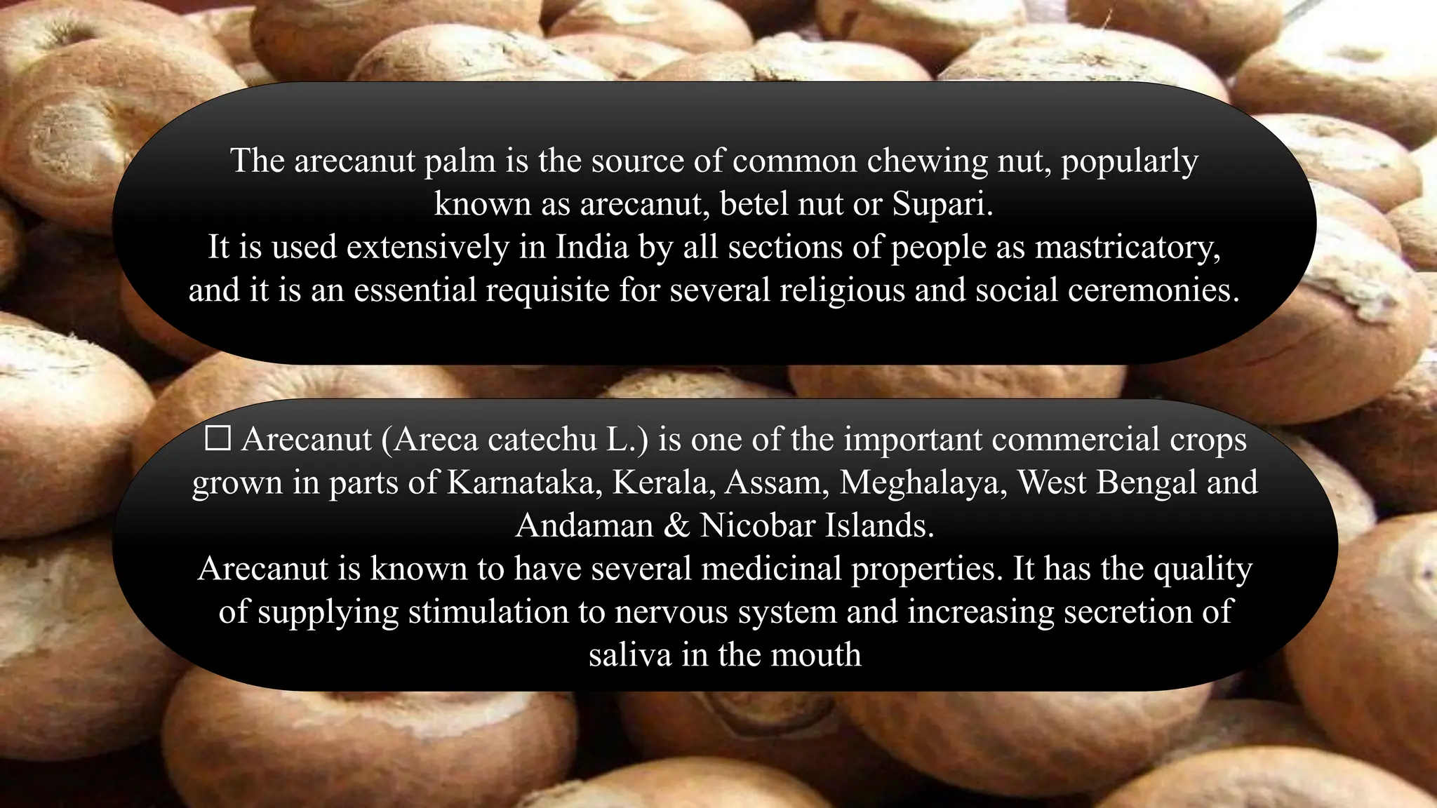 breeding for aricanut ppt Ranjeet maurya | PPTX