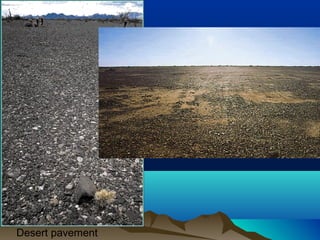 Arid Aeolian Landform | PPT