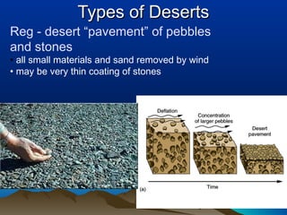 Arid Aeolian Landform | PPT