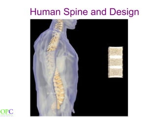 ARIDO Ergonomics & Design By OPC | PPT