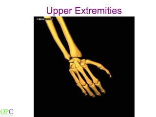 ARIDO Ergonomics & Design By OPC | PPT