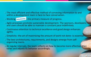 The complexity in the simplicity of Agile? by Arie van Bennekum | PDF