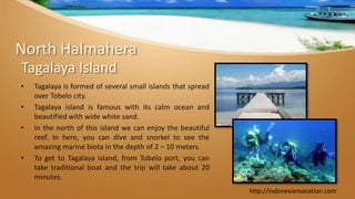 Enjoying White Sand in Halmahera, Aru, and Kei Islands | PPTX