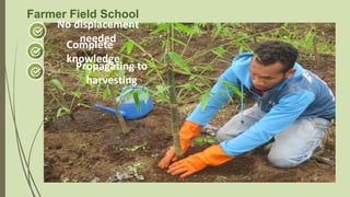 Arief Rabik_Building Trust in 1,000 Bamboo Villages through 5 Key ...