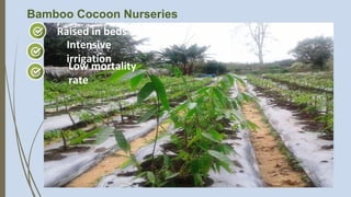 Arief Rabik_Building Trust in 1,000 Bamboo Villages through 5 Key ...