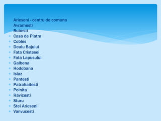 Arieseni dascalu horatiu grupa 8311 | PPT