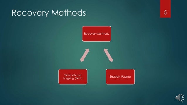 Aries Recovery Algorithms 6901