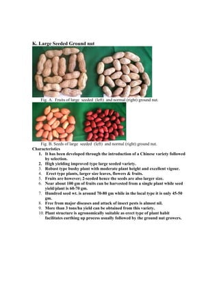 Variety catalogue of some newly developed improved varieties of different crops | PDF