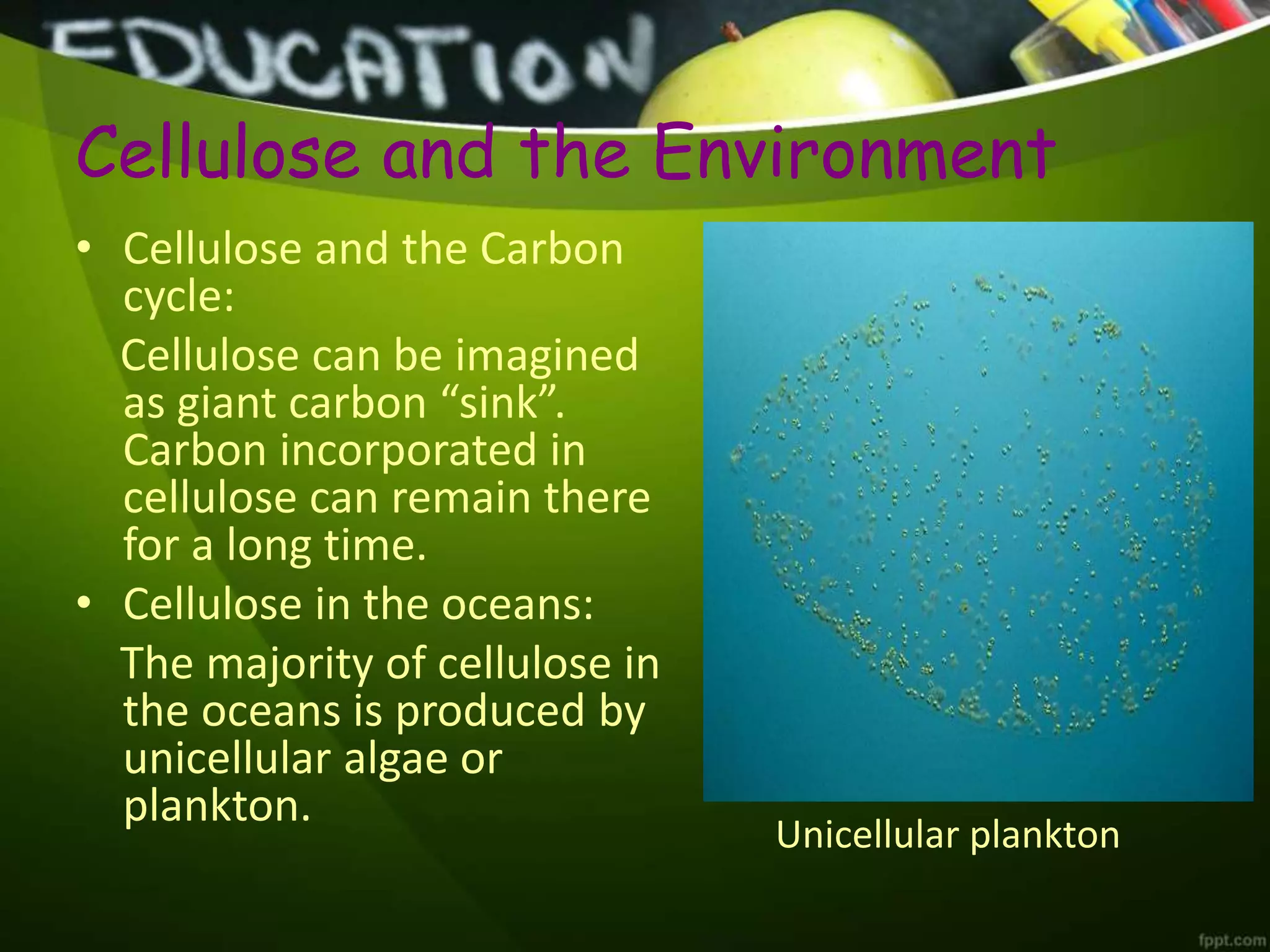 Presentation Slide of Cellulose- Arifuzzaman Arif | PPTX