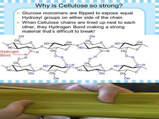 Presentation Slide of Cellulose- Arifuzzaman Arif | PPTX