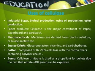 Presentation Slide of Cellulose- Arifuzzaman Arif | PPTX