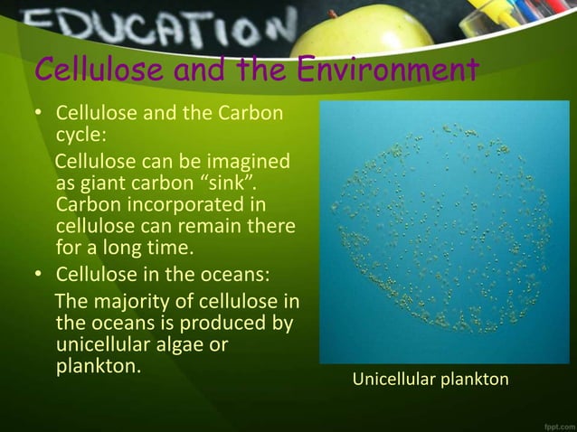 Presentation Slide of Cellulose- Arifuzzaman Arif | PPT