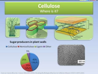 Presentation Slide of Cellulose- Arifuzzaman Arif | PPTX