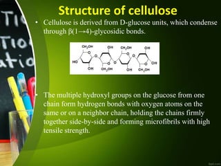 Presentation Slide of Cellulose- Arifuzzaman Arif | PPTX