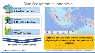 Academic Framework of Blue Carbon Ecosystems (BCE) | PDF ...