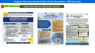 Academic Framework of Blue Carbon Ecosystems (BCE) | PDF | Environmental Services Industry ...
