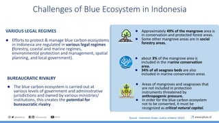 Academic Framework of Blue Carbon Ecosystems (BCE) | PDF ...