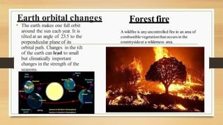 Causes and Effect of Global Climate Change | PDF