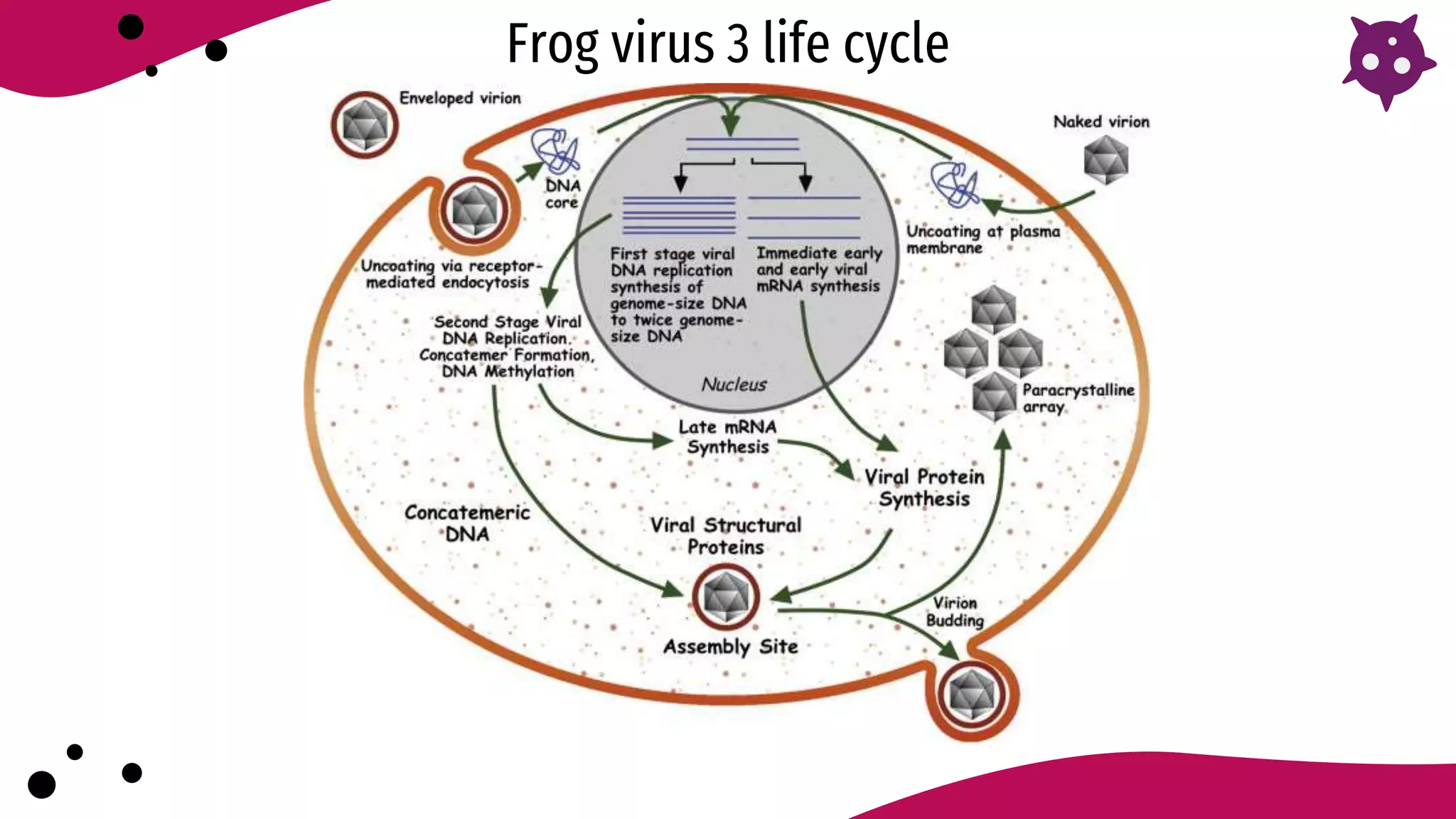 Arif Setiawansyah (20720004)-FV3.pptx