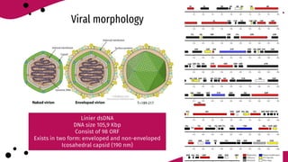 Arif Setiawansyah (20720004)-FV3.pptx