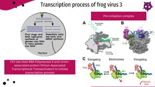 Arif Setiawansyah (20720004)-FV3.pptx