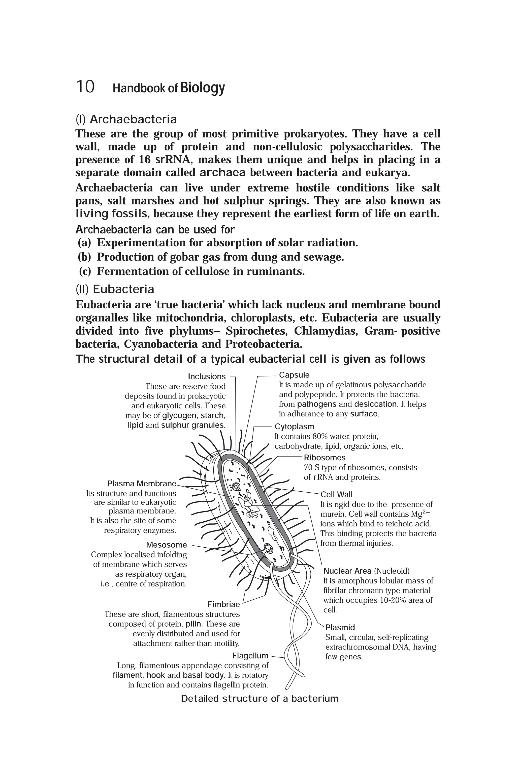 Arihant handbook biology for class 11 .pdf