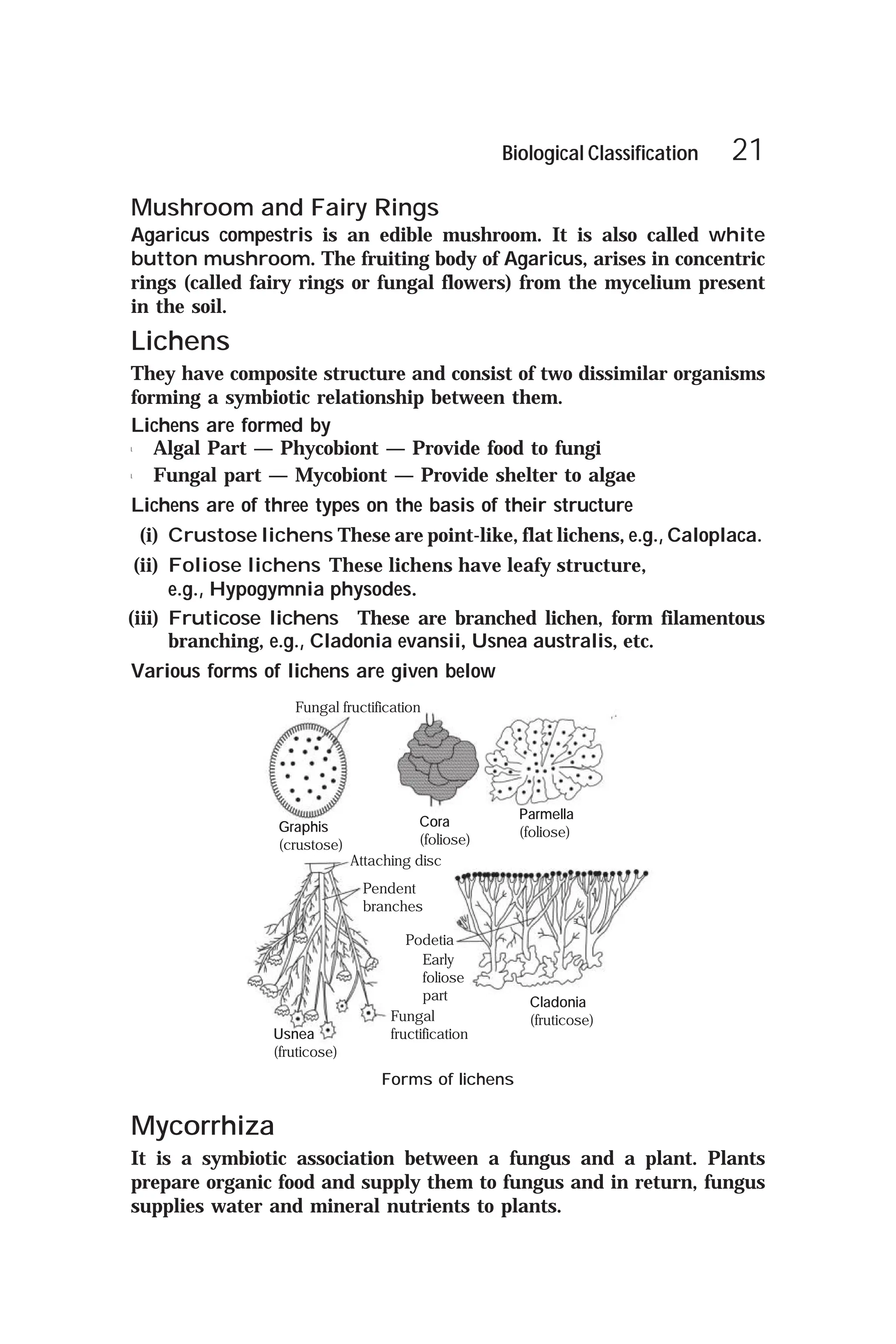 Arihant handbook biology for class 11 .pdf
