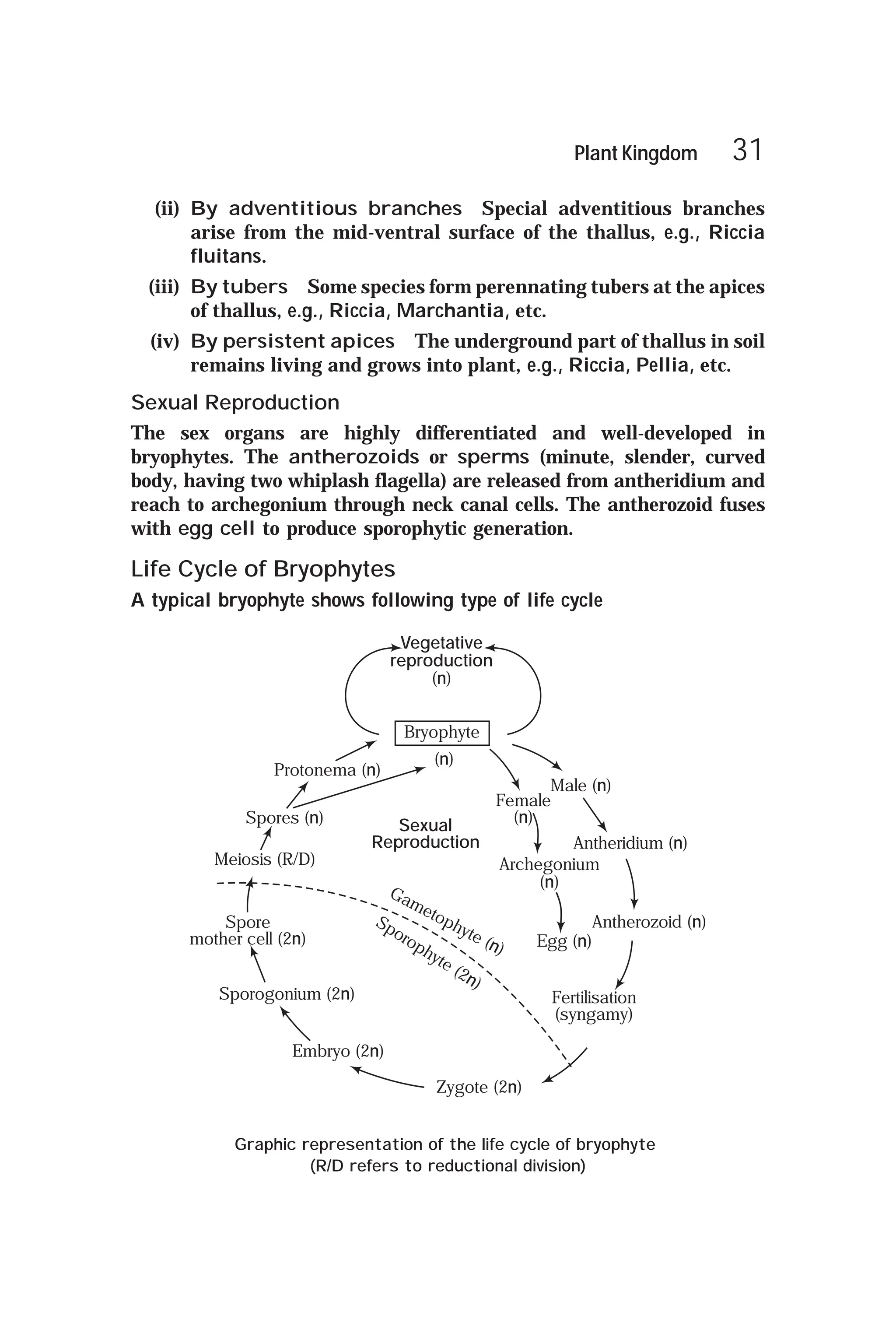 Arihant handbook biology for class 11 .pdf