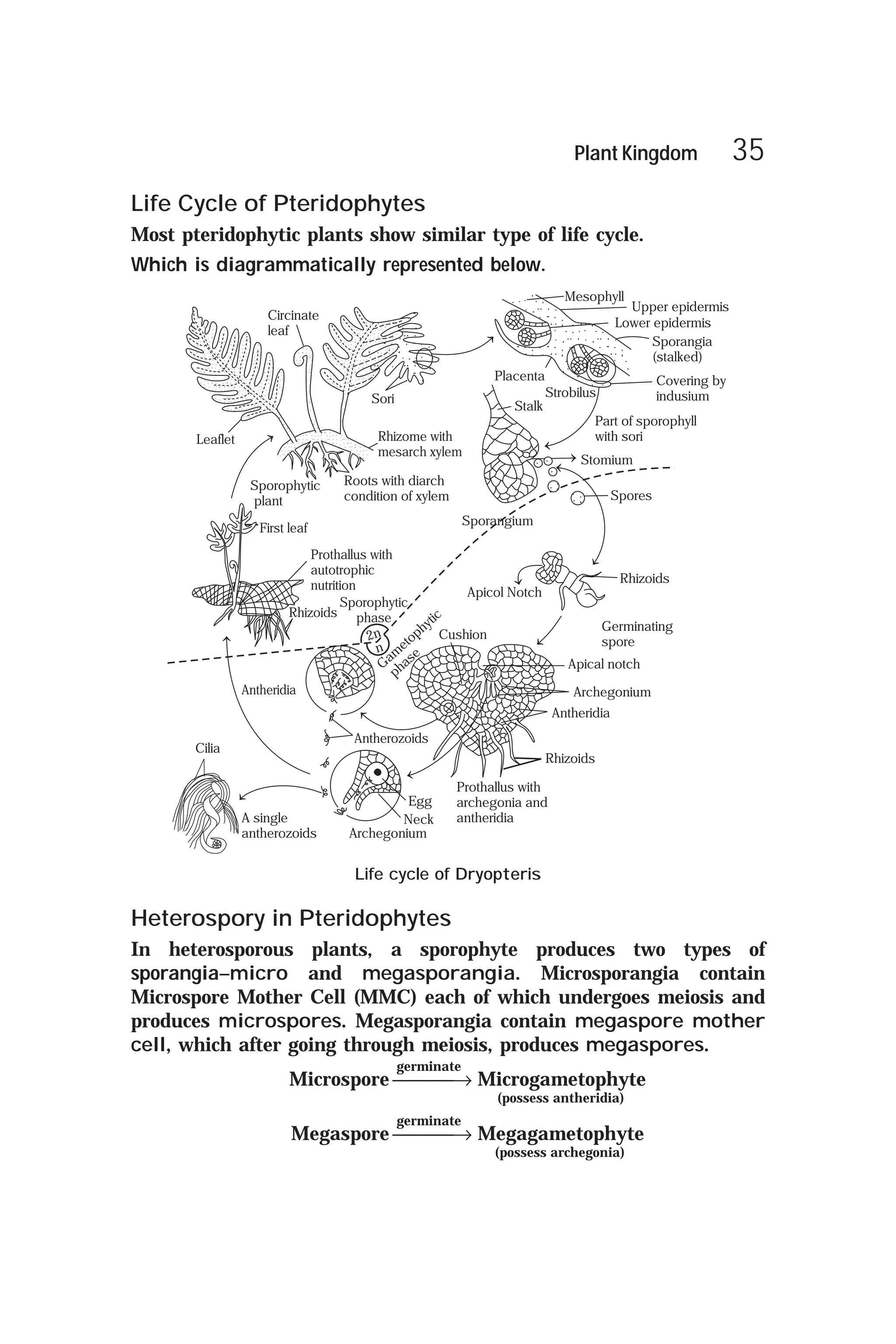 Arihant handbook biology for class 11 .pdf