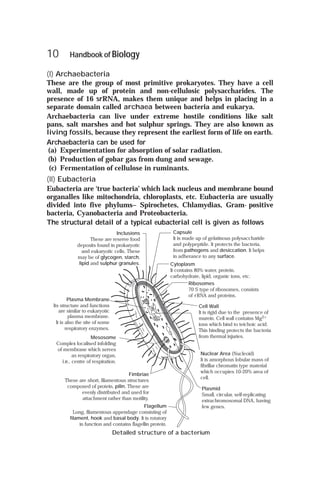 Arihant handbook biology for class 11 .pdf