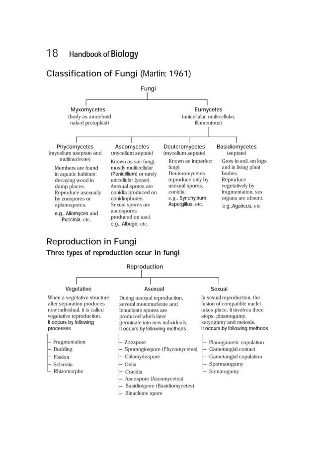 Arihant handbook biology for class 11 .pdf | Lung and Respiratory ...
