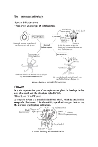 Arihant handbook biology for class 11 .pdf