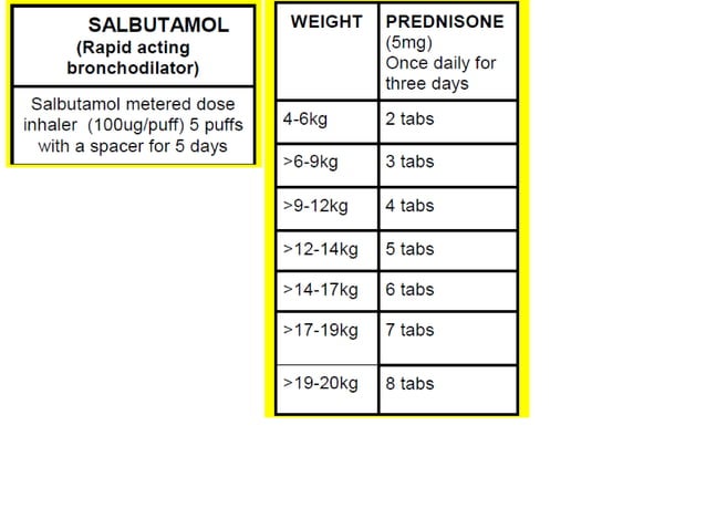 Acute respiratory tract infection control programme IMNCI pneumonia Dr ...