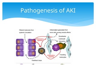 Acute Renal Insufficiency in Sepsis | PPTX