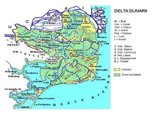 Arii protejate din_romania.barbu mariana | PPT